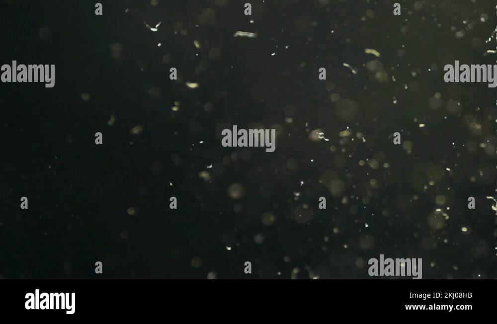 Airbourne airborne Stock Videos & Footage - HD and 4K Video Clips - Alamy