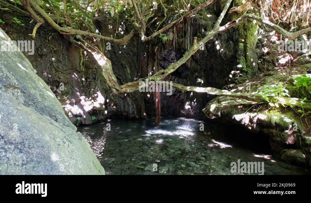 Baths of Aphrodite - the pool in the natural cave in Botanical garden ...