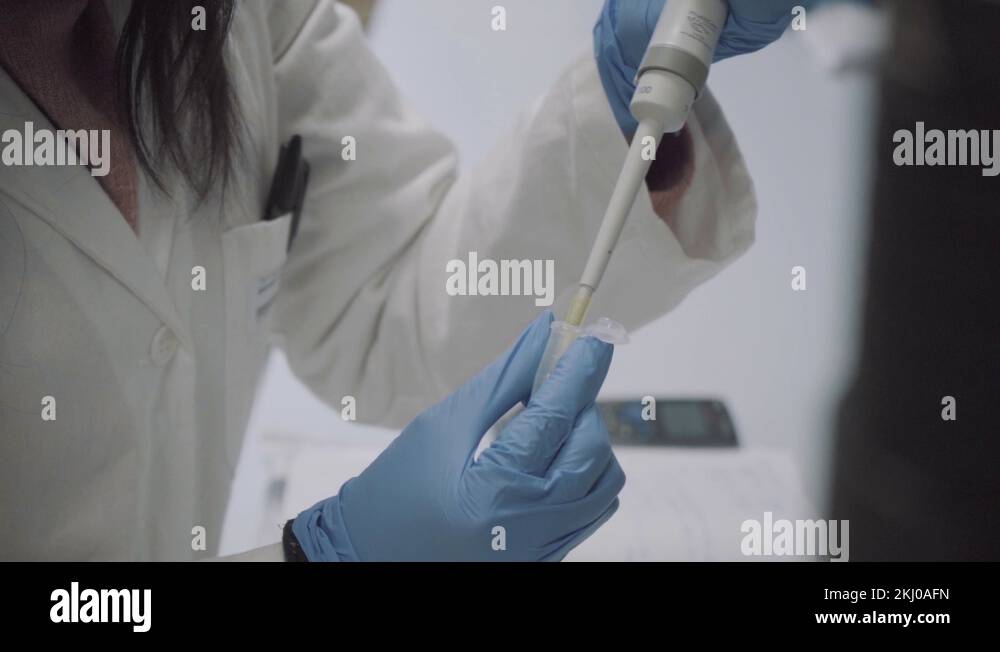 Pipetting sample Stock Videos & Footage - HD and 4K Video Clips - Alamy