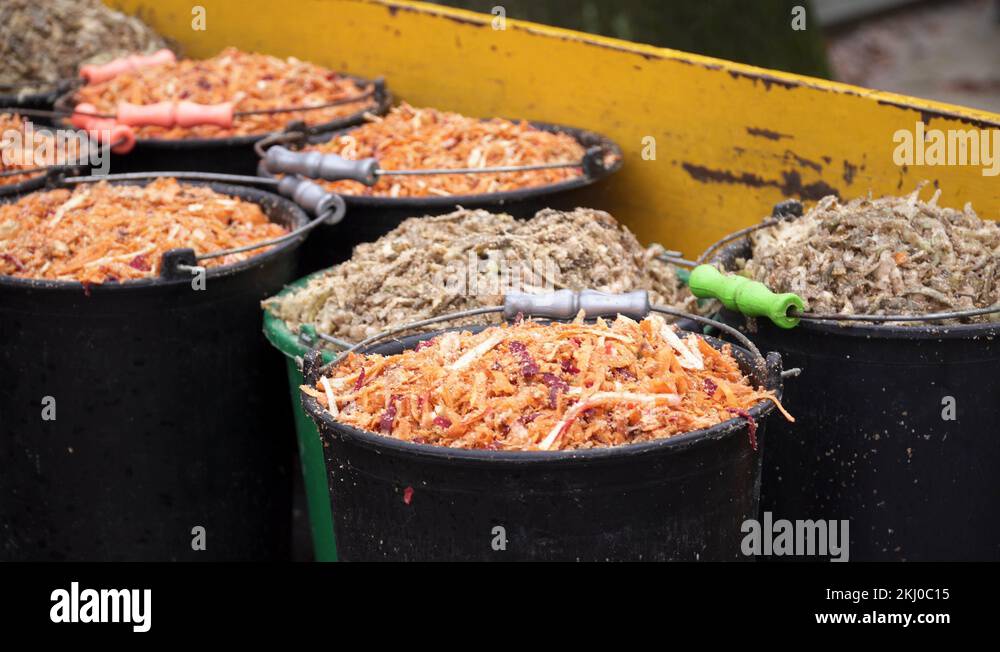 Feeding buckets Stock Videos & Footage - HD and 4K Video Clips - Alamy