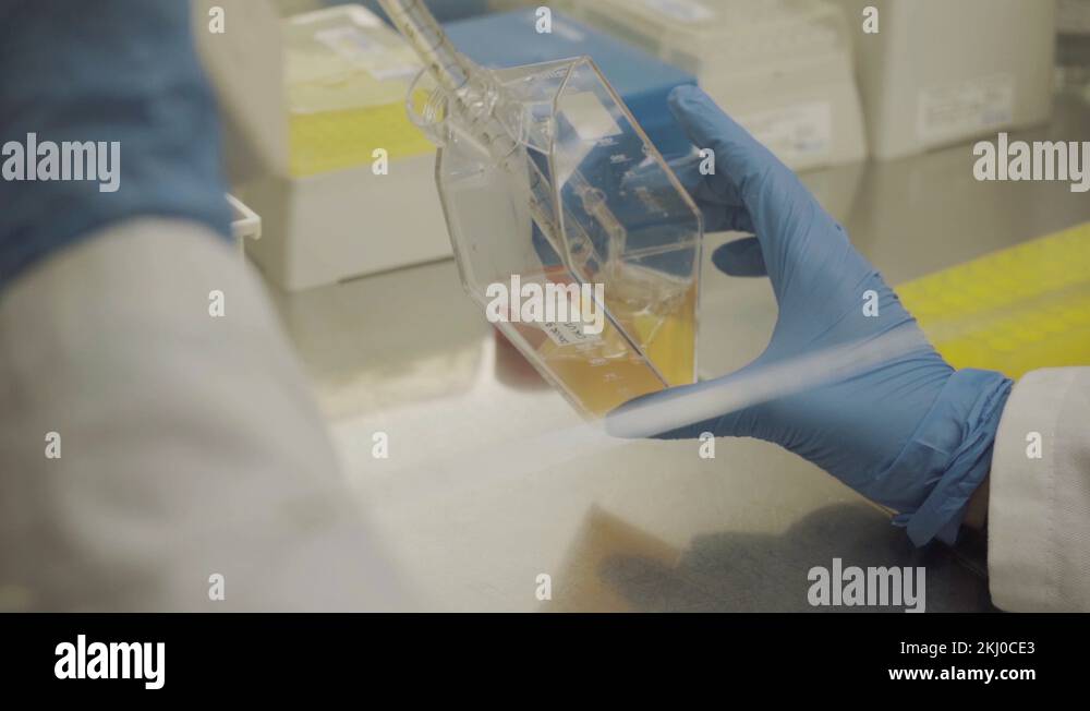 Sterile laminar flow hood Stock Videos & Footage - HD and 4K Video ...