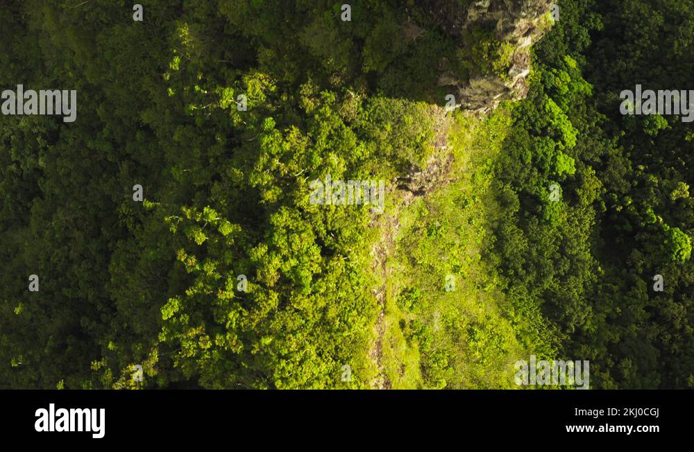 Haena State Park. Hawaii. Lush tropical greenery on rocky ridge, view ...