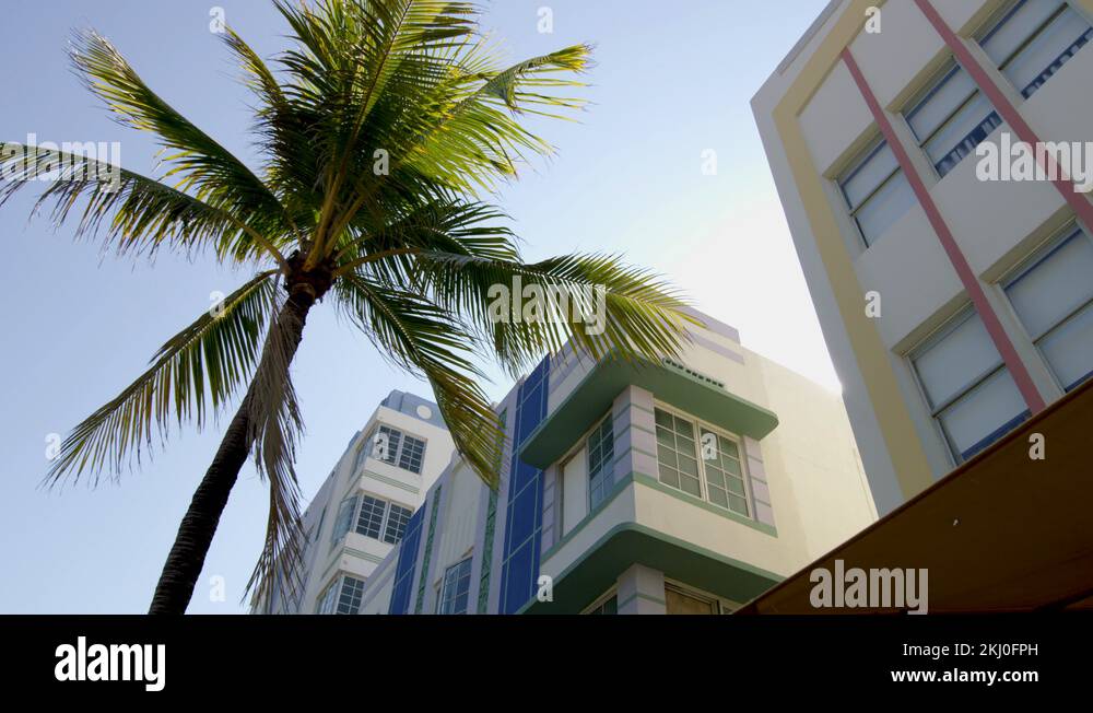 Sun being revealed behind palm tree and Art Deco buildings in Miami ...