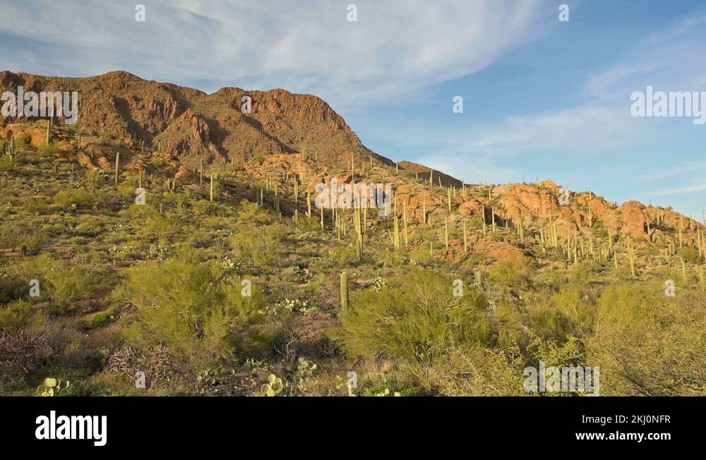Tucson arizona scenery Stock Videos & Footage - HD and 4K Video Clips ...
