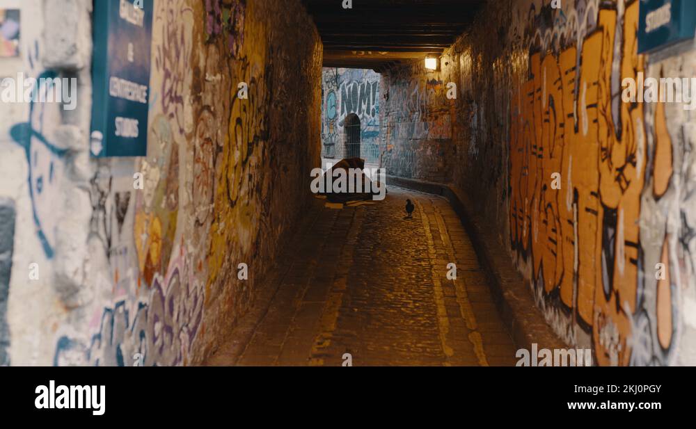 Man in alleyway Stock Videos & Footage - HD and 4K Video Clips - Alamy