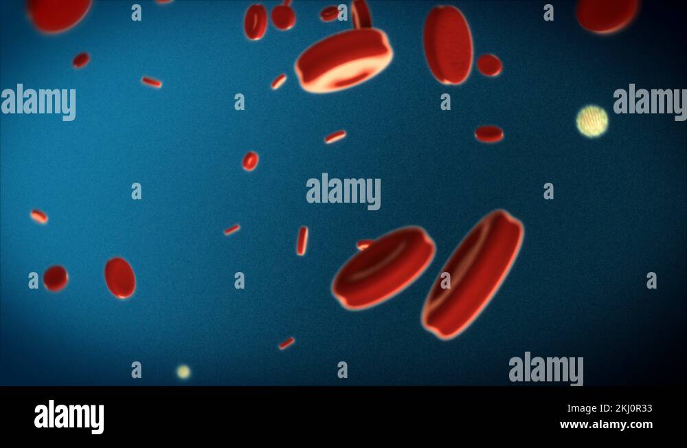 3D Animation to visualize how COVID 19 Coronavirus affect lung Stock ...