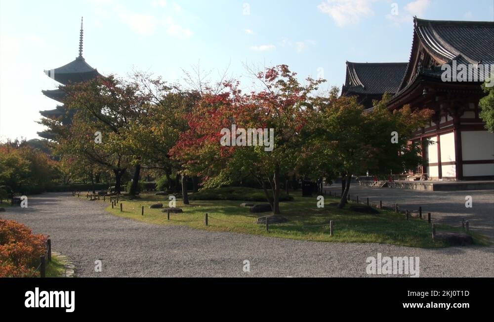 Toji in temple garden kyoto Stock Videos & Footage - HD and 4K Video ...