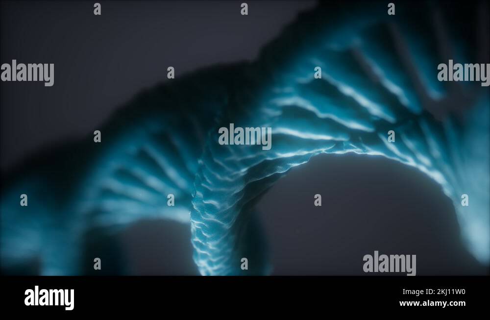 loopable structure of the DNA double helix animation Stock Video ...