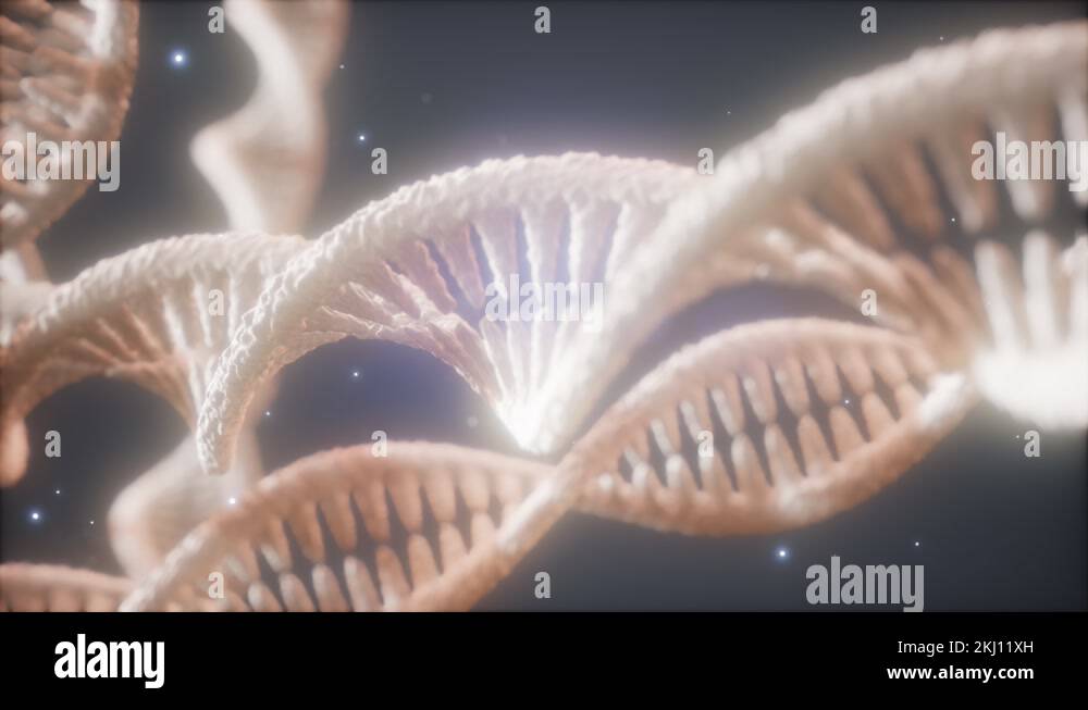 double helical structure of dna strand close-up animation Stock Video ...