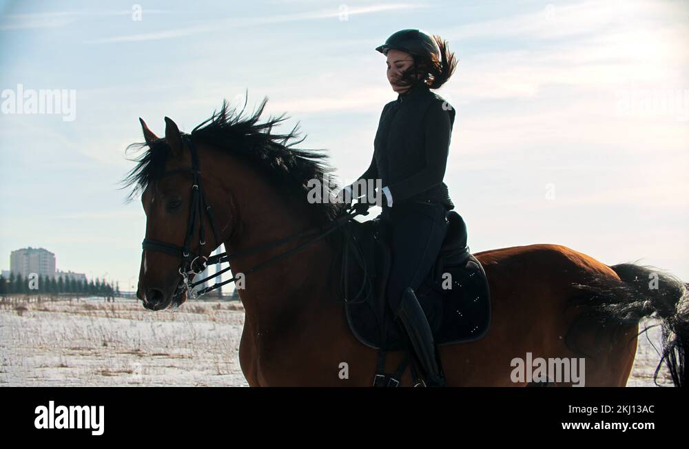 Woman astride horse Stock Videos & Footage - HD and 4K Video Clips - Alamy