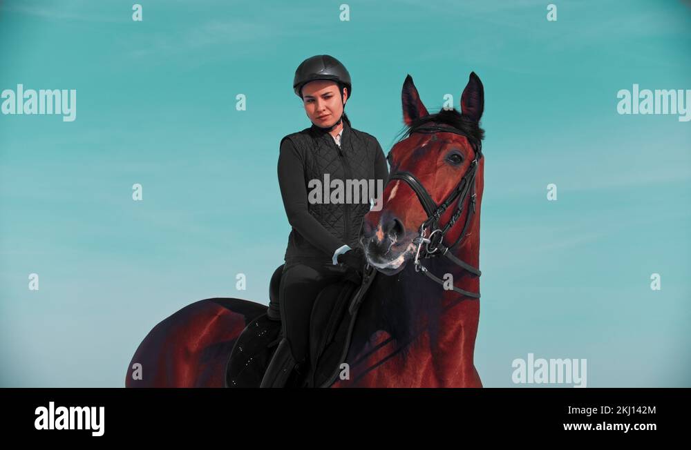 Horse posture Stock Videos & Footage - HD and 4K Video Clips - Alamy