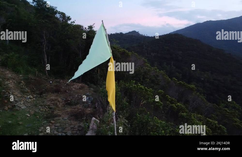 Flags forest Stock Videos & Footage - HD and 4K Video Clips - Alamy