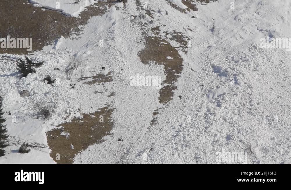 Debris field Stock Videos & Footage - HD and 4K Video Clips - Alamy