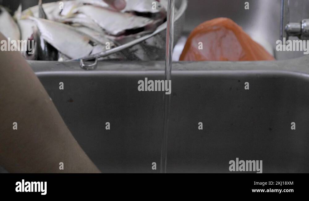 Washing cleaning fish Stock Videos & Footage - HD and 4K Video Clips ...