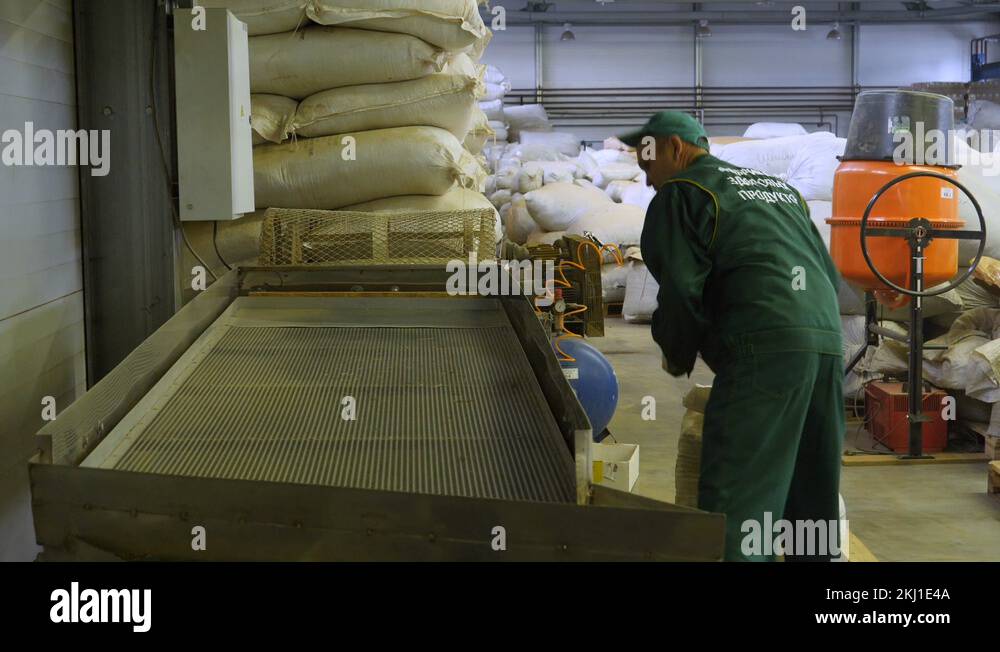 Tea factory labor Stock Videos & Footage - HD and 4K Video Clips - Alamy