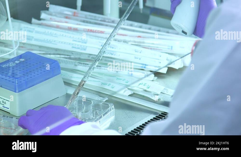 Decanting Stock Videos & Footage - HD and 4K Video Clips - Alamy