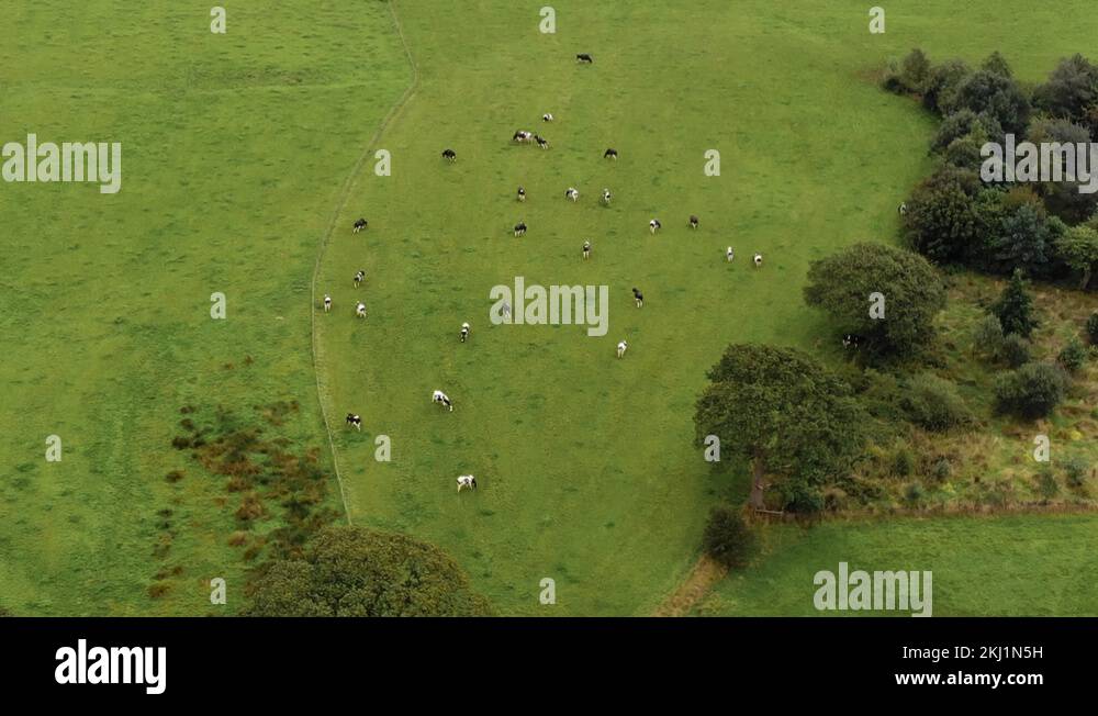 Ample space Stock Videos & Footage - HD and 4K Video Clips - Alamy