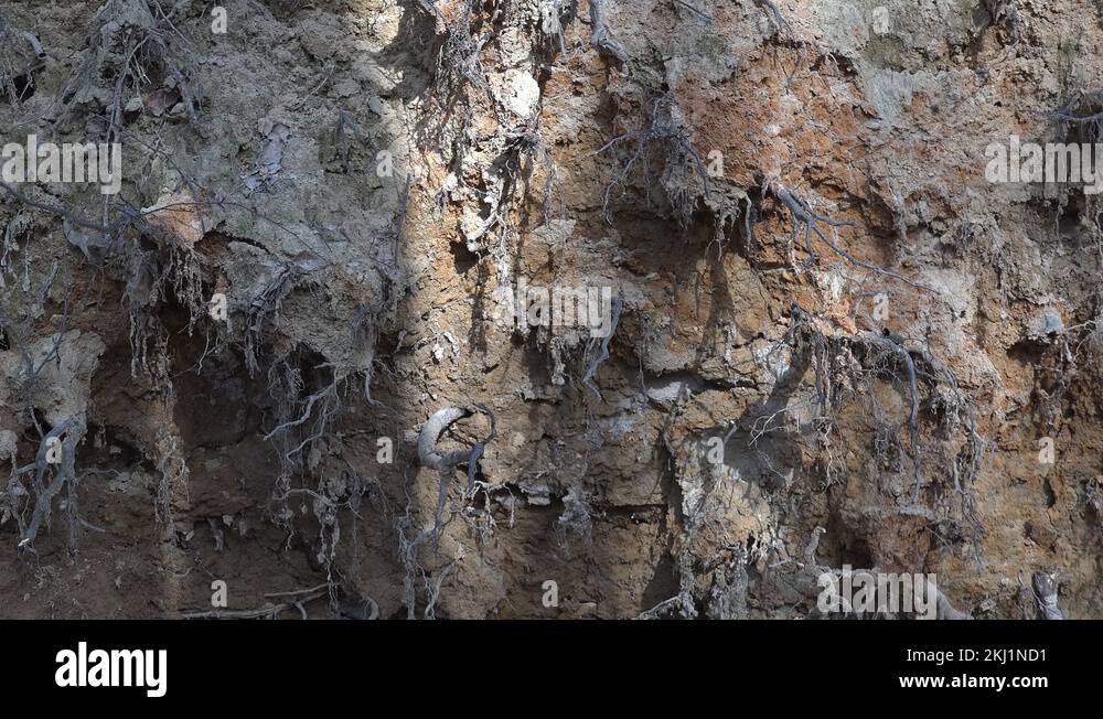 Sedimentary soil Stock Videos & Footage - HD and 4K Video Clips - Alamy