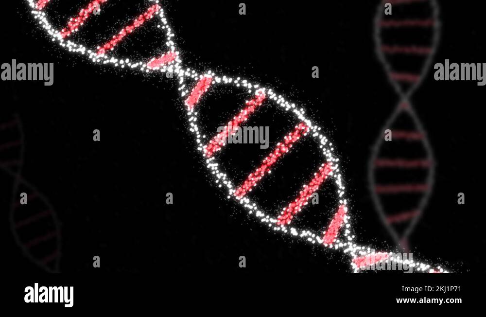 Motion graphics: pink DNA spiral strand twirling around, genetic Stock ...