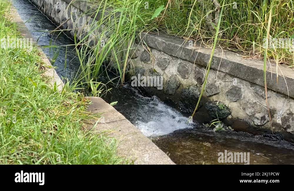 Paddy fields irrigation system Stock Videos & Footage - HD and 4K Video ...