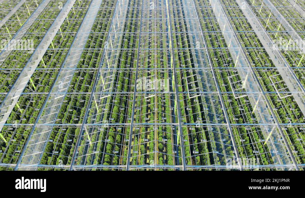 Farming rows growing Stock Videos & Footage - HD and 4K Video Clips - Alamy