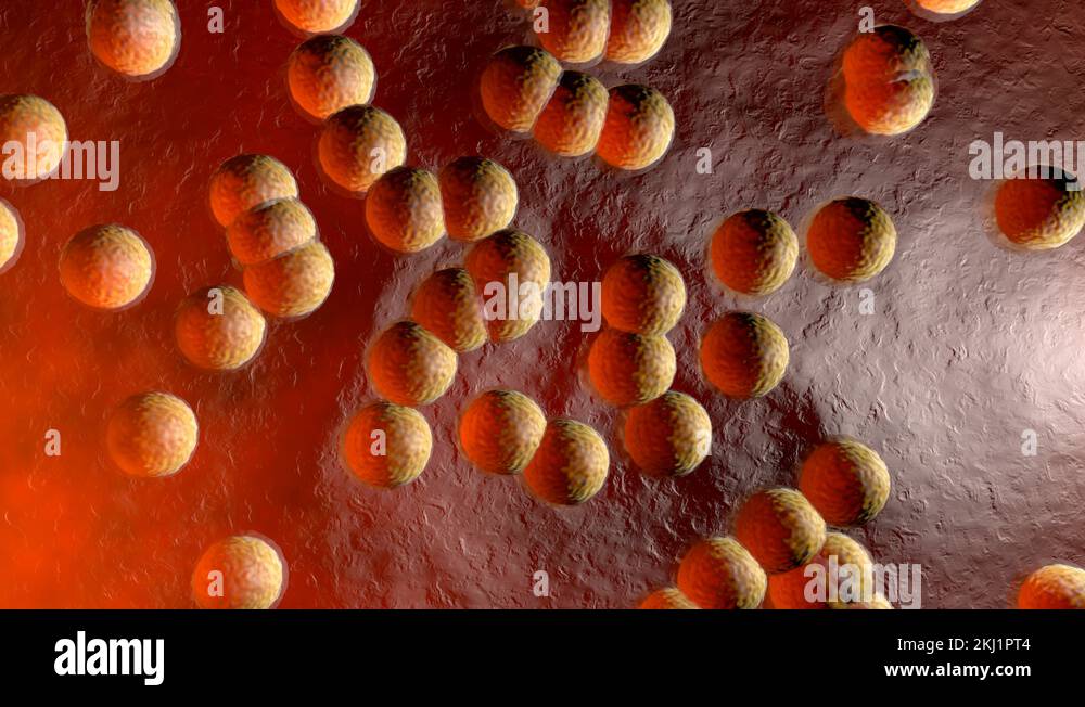 Growing fat Stock Videos & Footage - HD and 4K Video Clips - Alamy