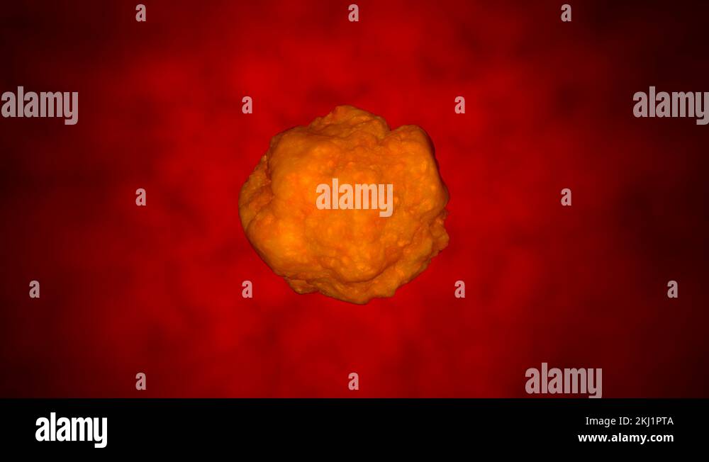 Leukemia cell Stock Videos & Footage - HD and 4K Video Clips - Alamy