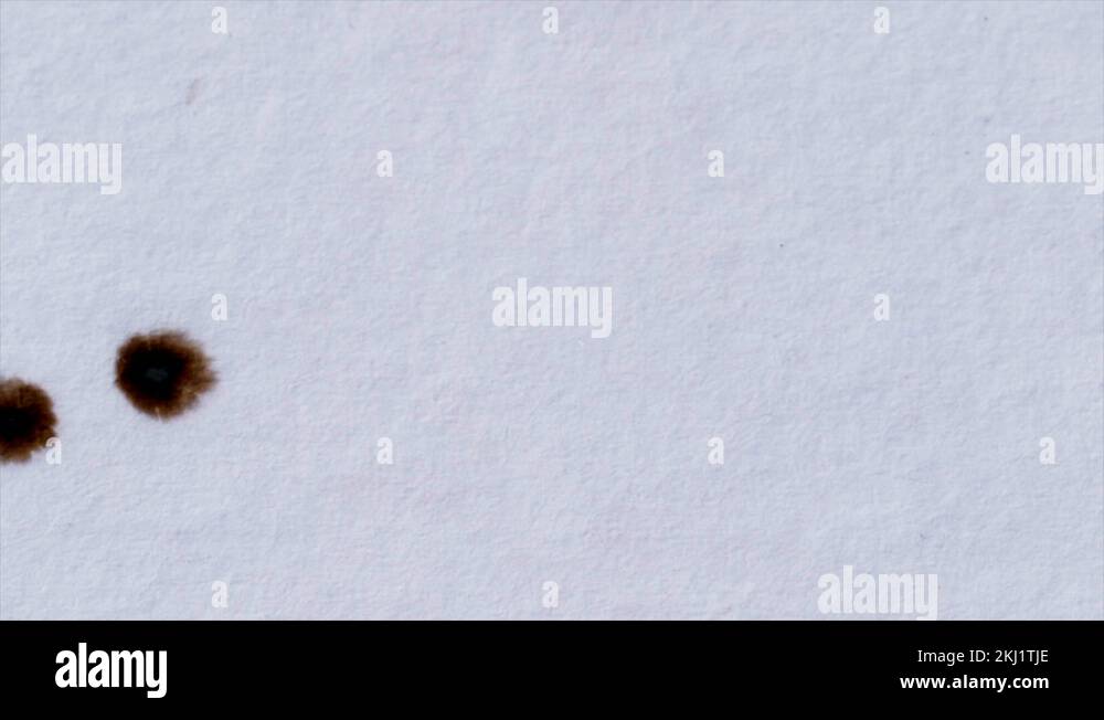 Ink drop transition splash design effect. Messy ink bleed transition ...