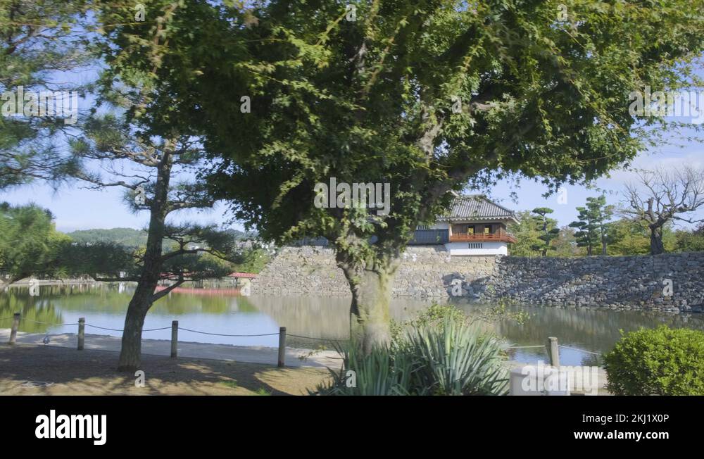 Track Right Past Trees to Reveal Side Rear View Matsumoto Castle Moat ...