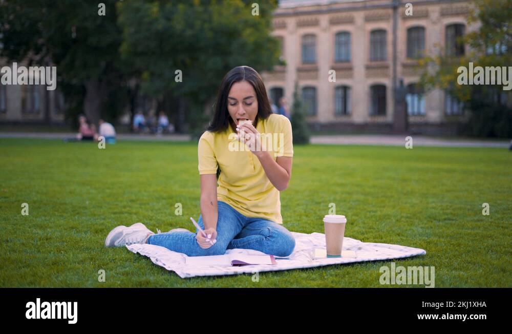 Lunch time eating a sandwich Stock Videos & Footage - HD and 4K Video ...