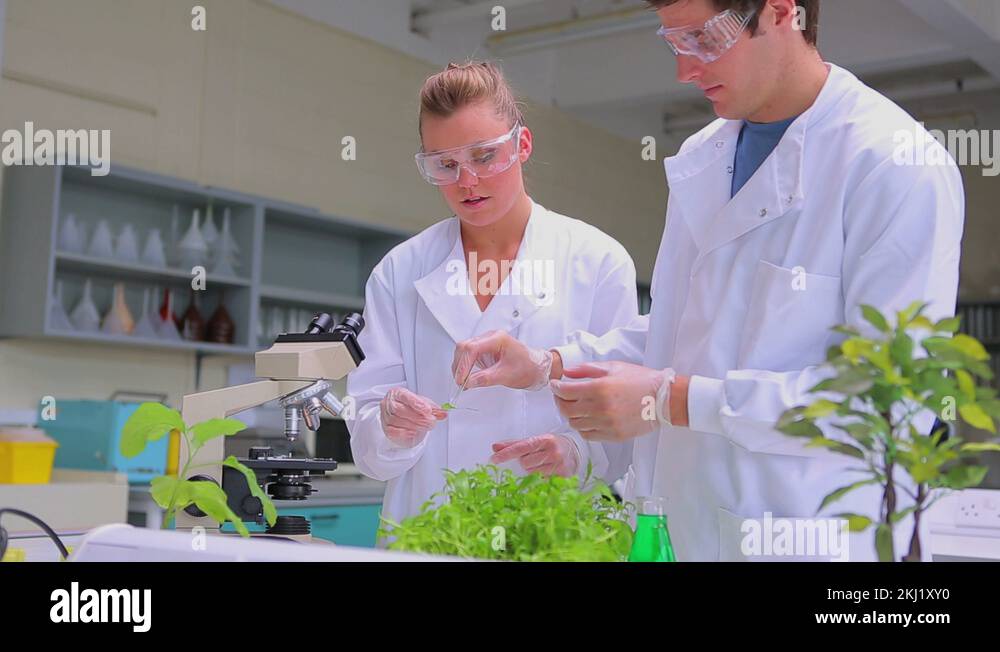 Plant research lab Stock Videos & Footage - HD and 4K Video Clips - Alamy