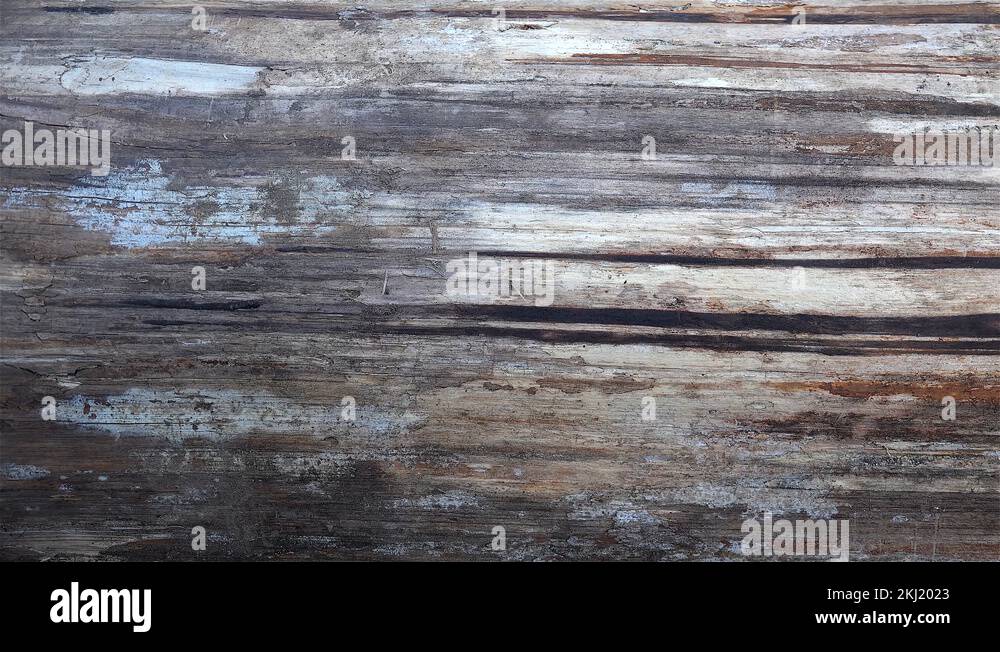 Log pattern Stock Videos & Footage - HD and 4K Video Clips - Alamy