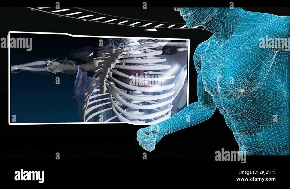 Bodily functions Stock Videos & Footage - HD and 4K Video Clips - Alamy