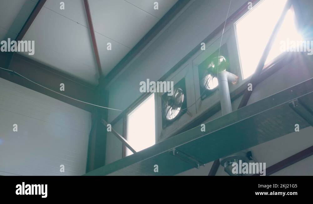 Hot weather fan Stock Videos & Footage - HD and 4K Video Clips - Alamy