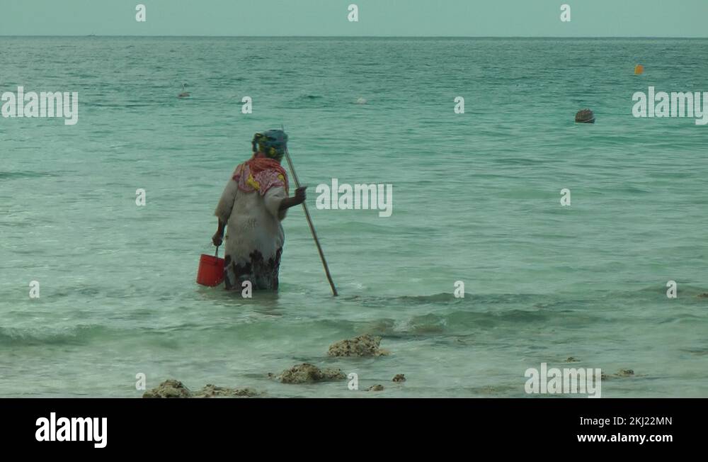 Women with headgear Stock Videos & Footage - HD and 4K Video Clips - Alamy