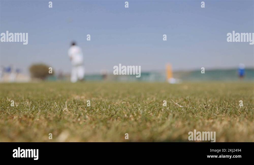 Cricket pitch texture Stock Videos & Footage - HD and 4K Video Clips ...