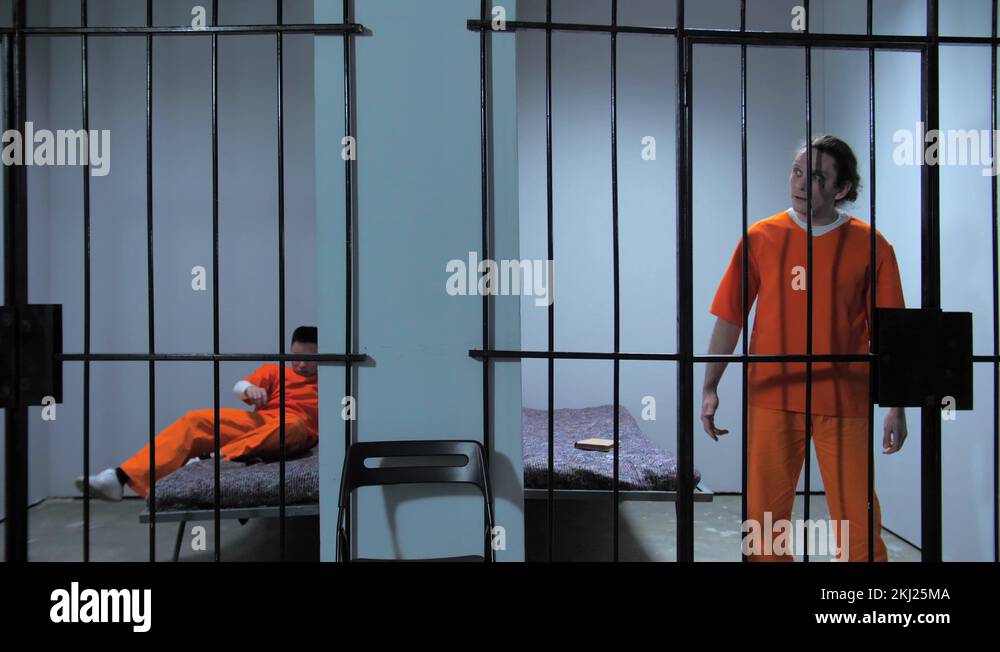 Impudently Stock Videos & Footage - HD and 4K Video Clips - Alamy