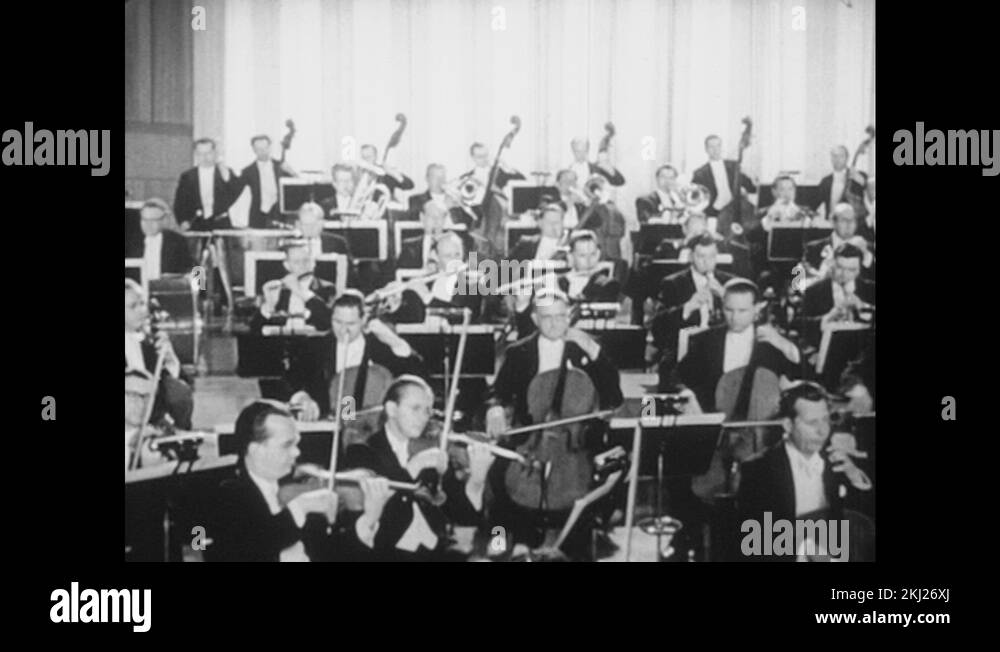 Women in arms Stock Videos & Footage - HD and 4K Video Clips - Alamy