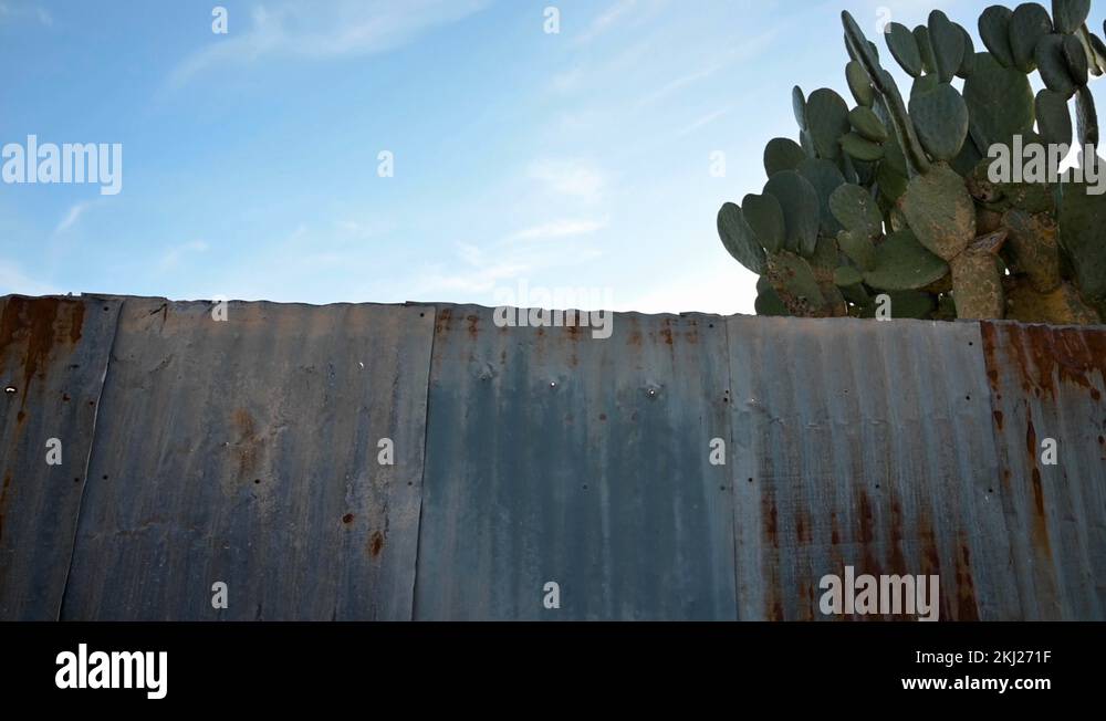 Fence cactus Stock Videos & Footage - HD and 4K Video Clips - Alamy