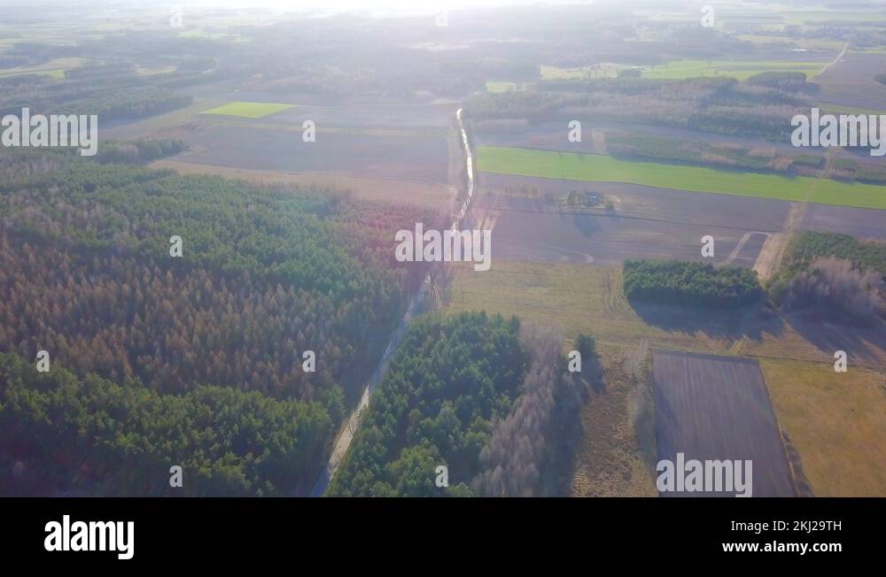 Flight over road in early spring forest in Poland, 4k aerial video ...