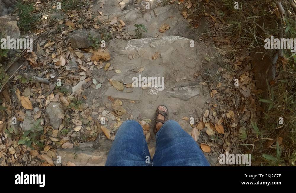 Steps on nature trail Stock Videos & Footage - HD and 4K Video Clips ...