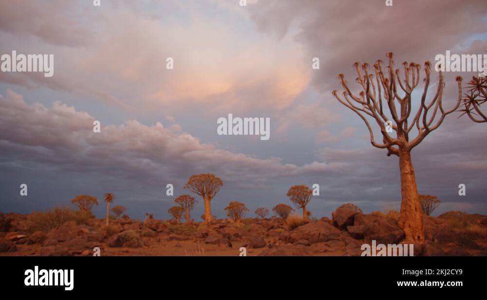 Namibia evening sky Stock Videos & Footage - HD and 4K Video Clips - Alamy