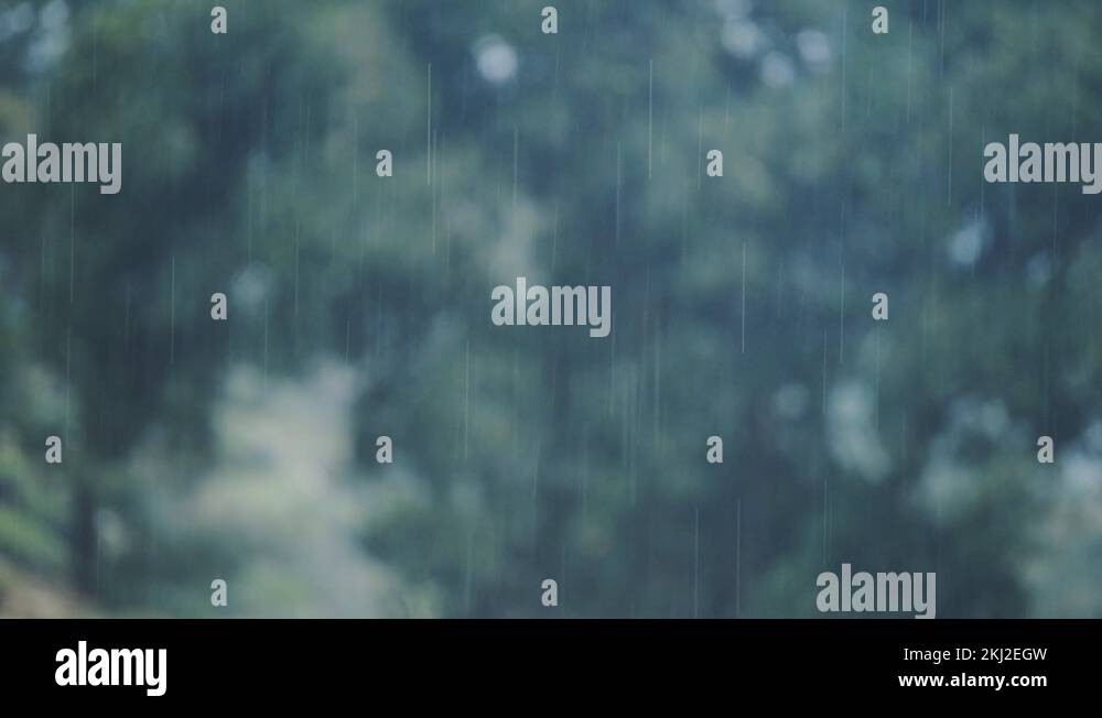 Rain kerala Stock Videos & Footage - HD and 4K Video Clips - Alamy