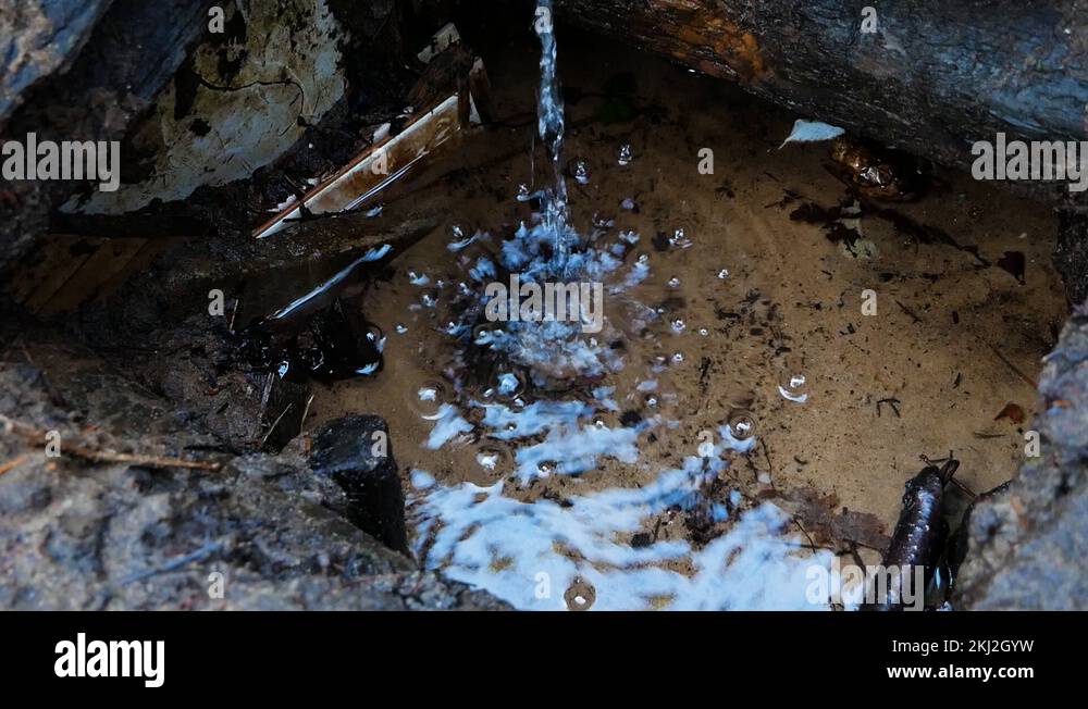 Pure water of the earth Stock Videos & Footage - HD and 4K Video Clips ...