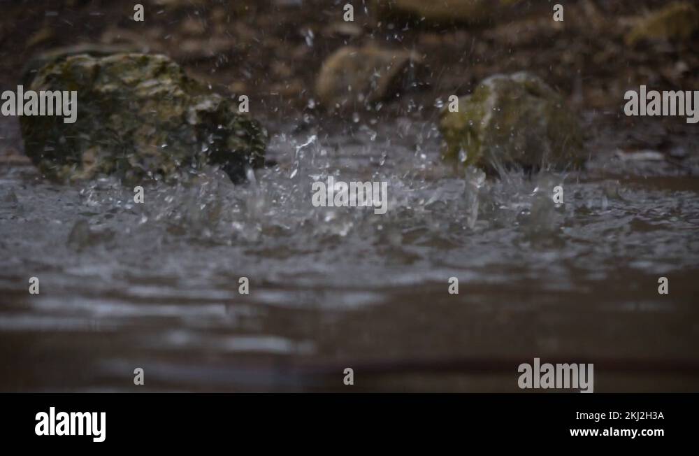 Big raindrops Stock Videos & Footage - HD and 4K Video Clips - Alamy
