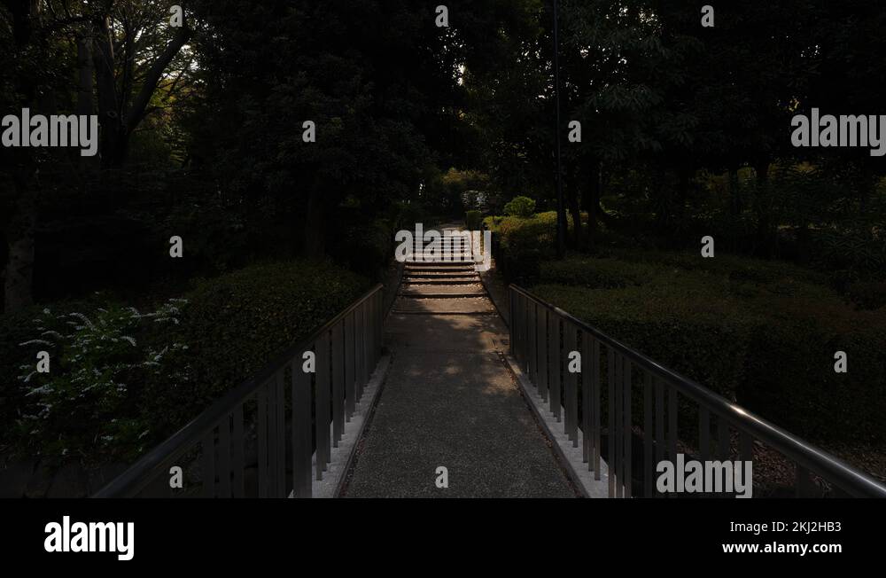 Narrow empty path at green park, thick shadow from trees, sun spot on ...