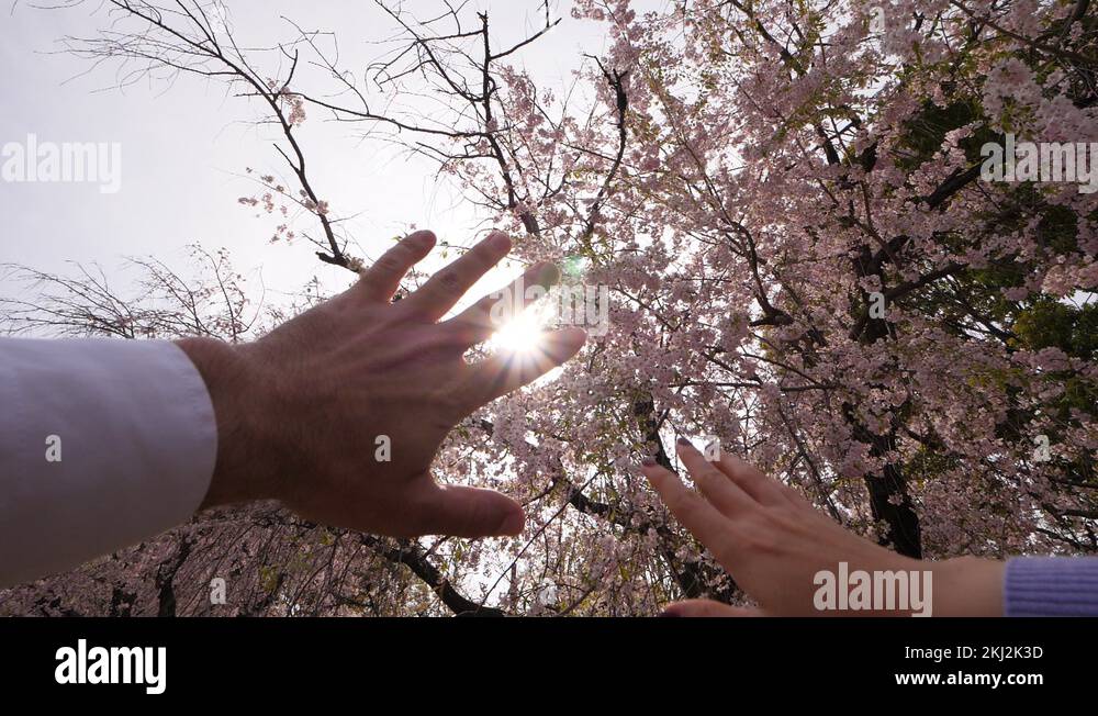 Sun gleam Stock Videos & Footage - HD and 4K Video Clips - Alamy