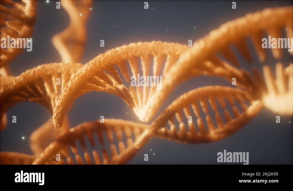 double helical structure of dna strand close-up animation Stock Video ...