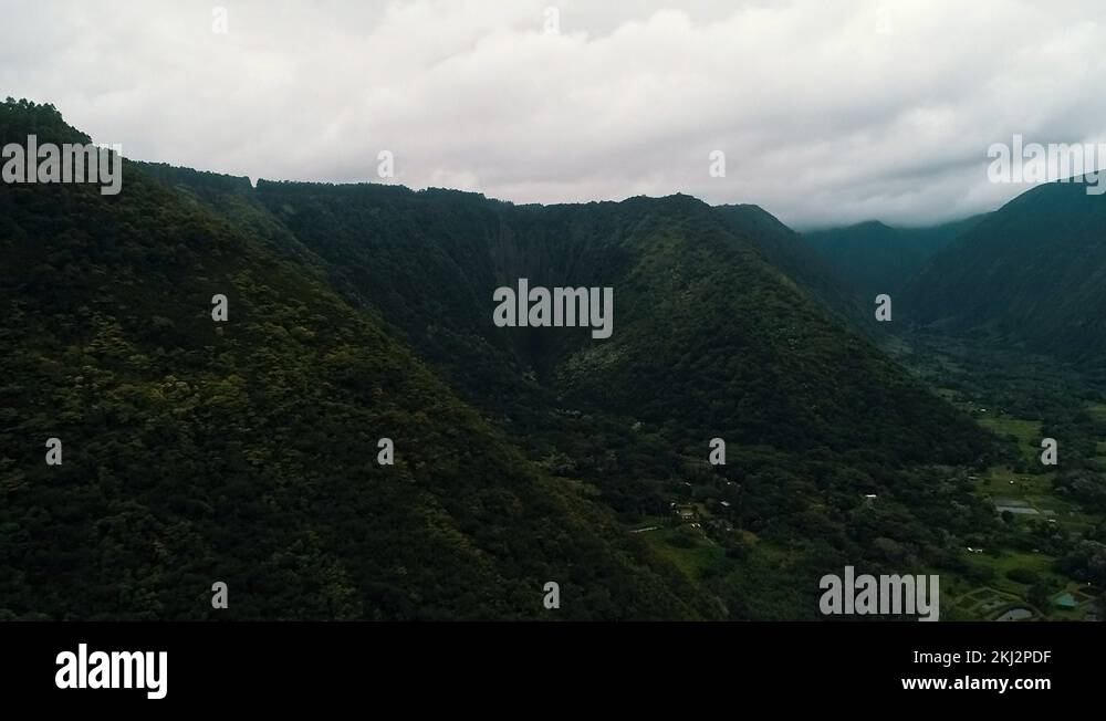 Untamed Stock Videos & Footage - HD and 4K Video Clips - Alamy