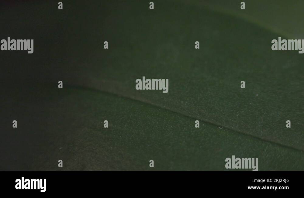 Green color blade of grass Stock Videos & Footage - HD and 4K Video ...